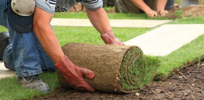 Land Scaping Service - At-Takasur Consultancy Firm (ATC FIRM)